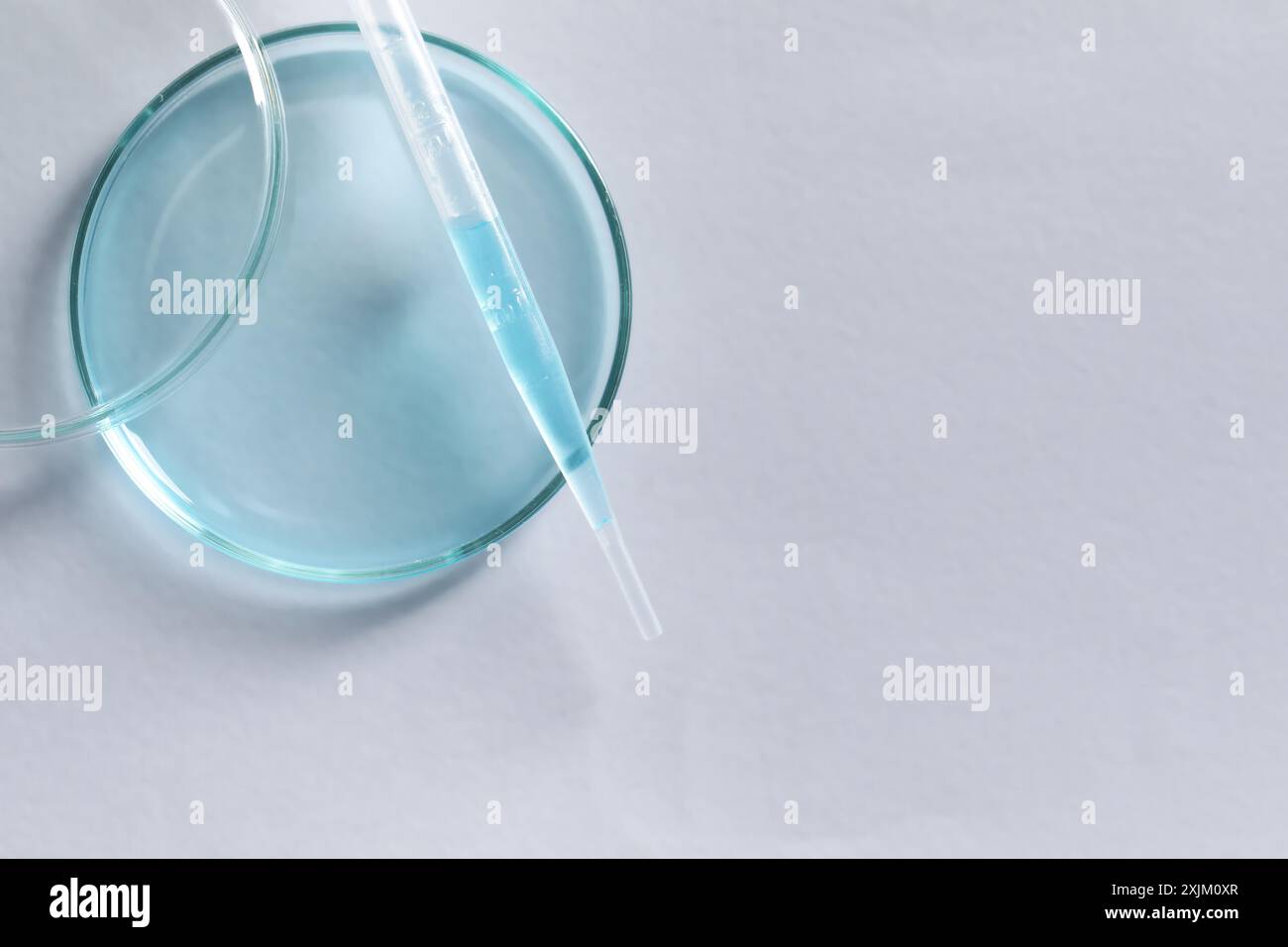 Transfer pipette and petri dish on white background, top view. Space ...