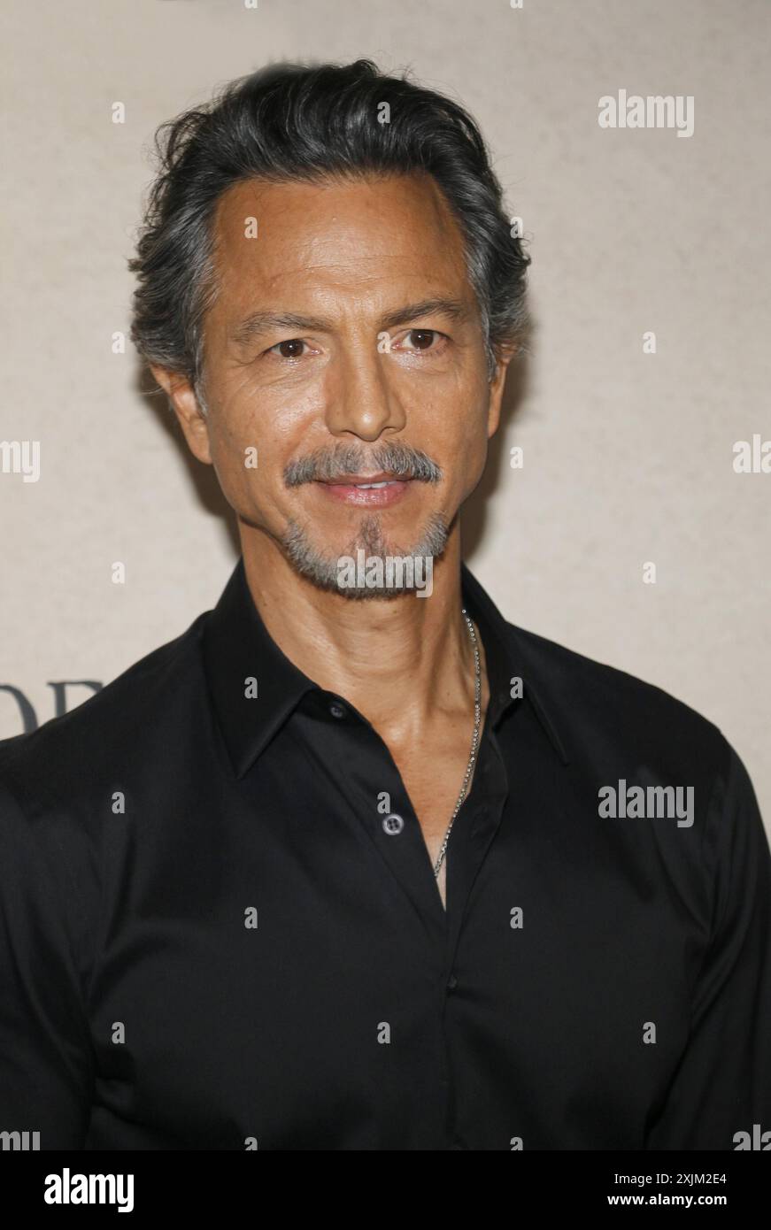 Benjamin Bratt at the Los Angeles premiere of 'Dead For A Dollar' held ...