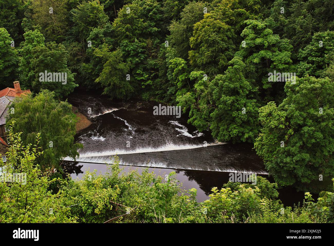 Aerial view of a river with a small waterfall surrounded by dense green ...