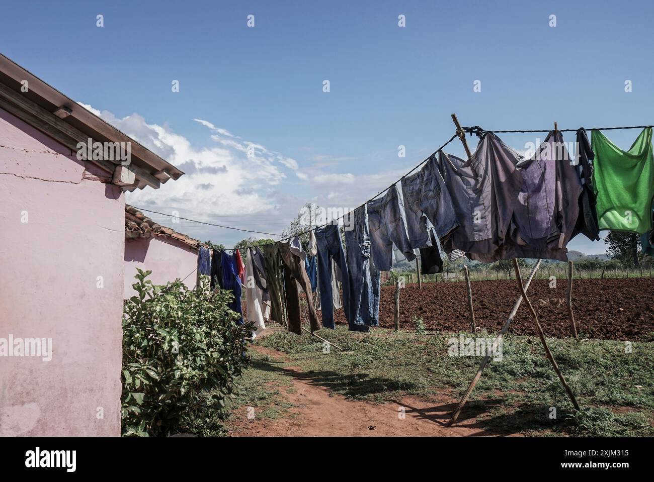 Hanged clothes on rope at garden in order to dry Stock Photo - Alamy
