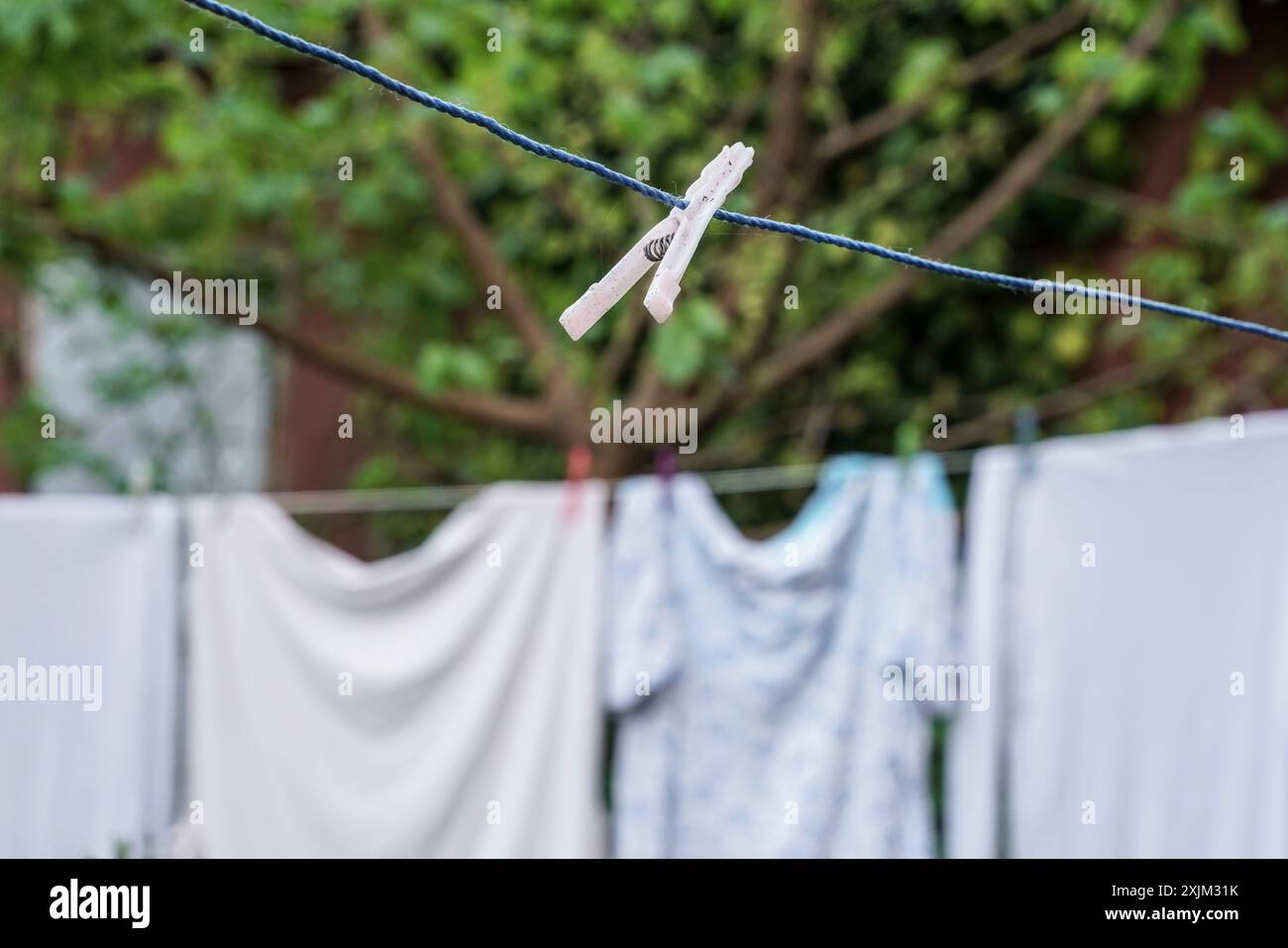 hanged clothes at garden in order to dry Stock Photo - Alamy