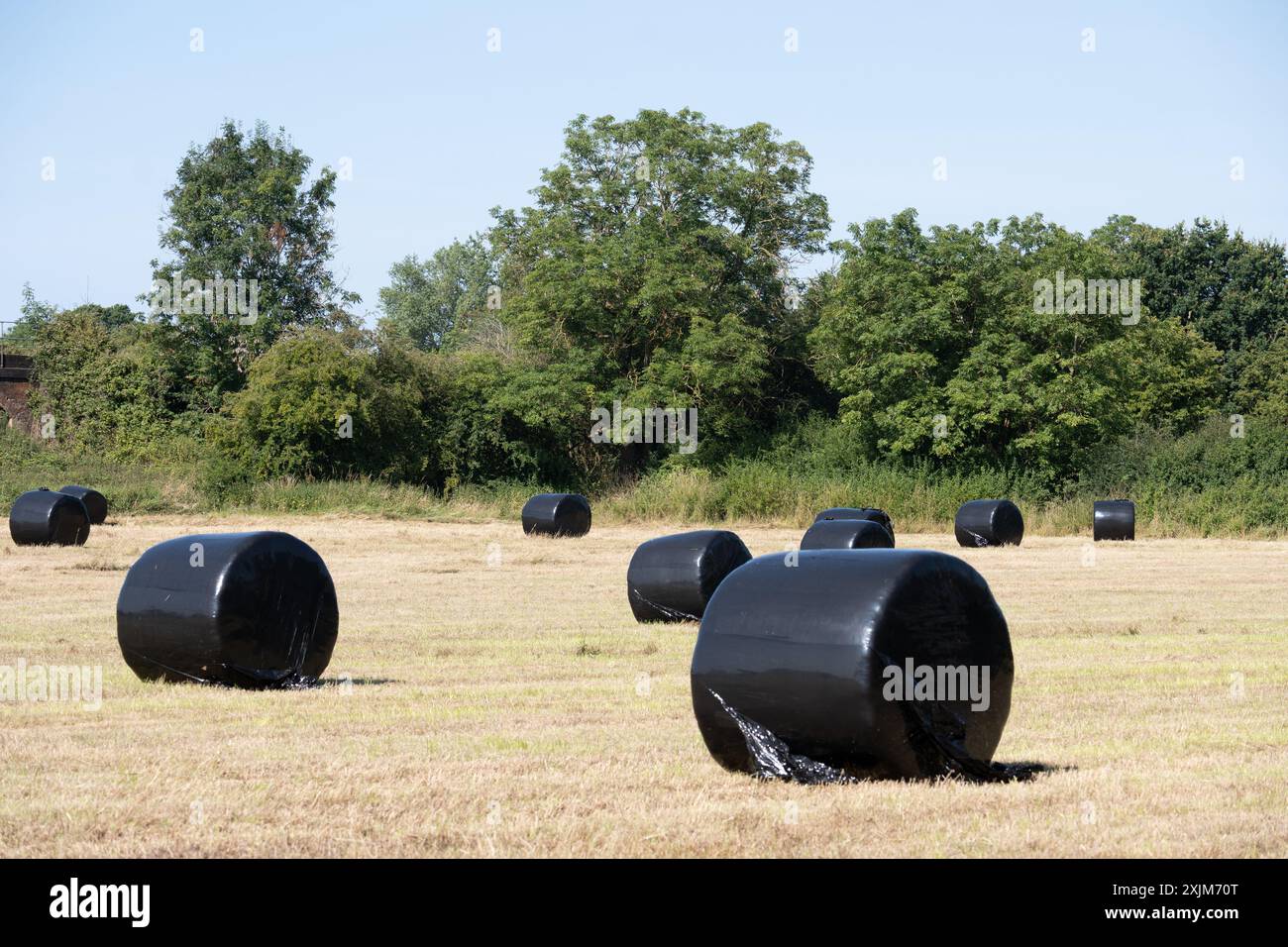 Plastic in field hi-res stock photography and images - Alamy