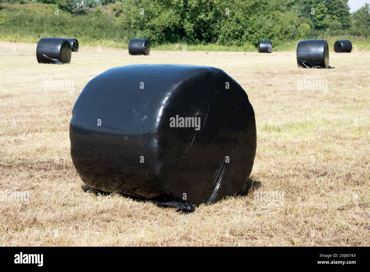 Black hay bales hi-res stock photography and images - Alamy