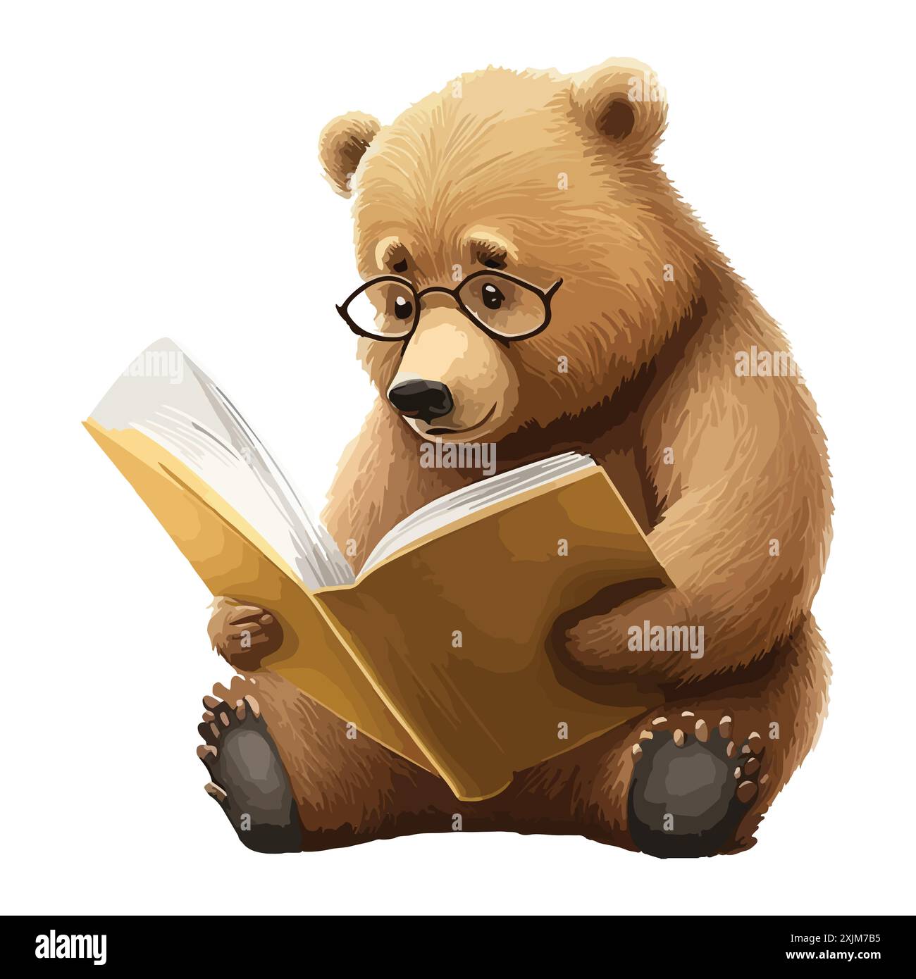 Bear Reading Vector Illustration Stock Vector Image & Art - Alamy