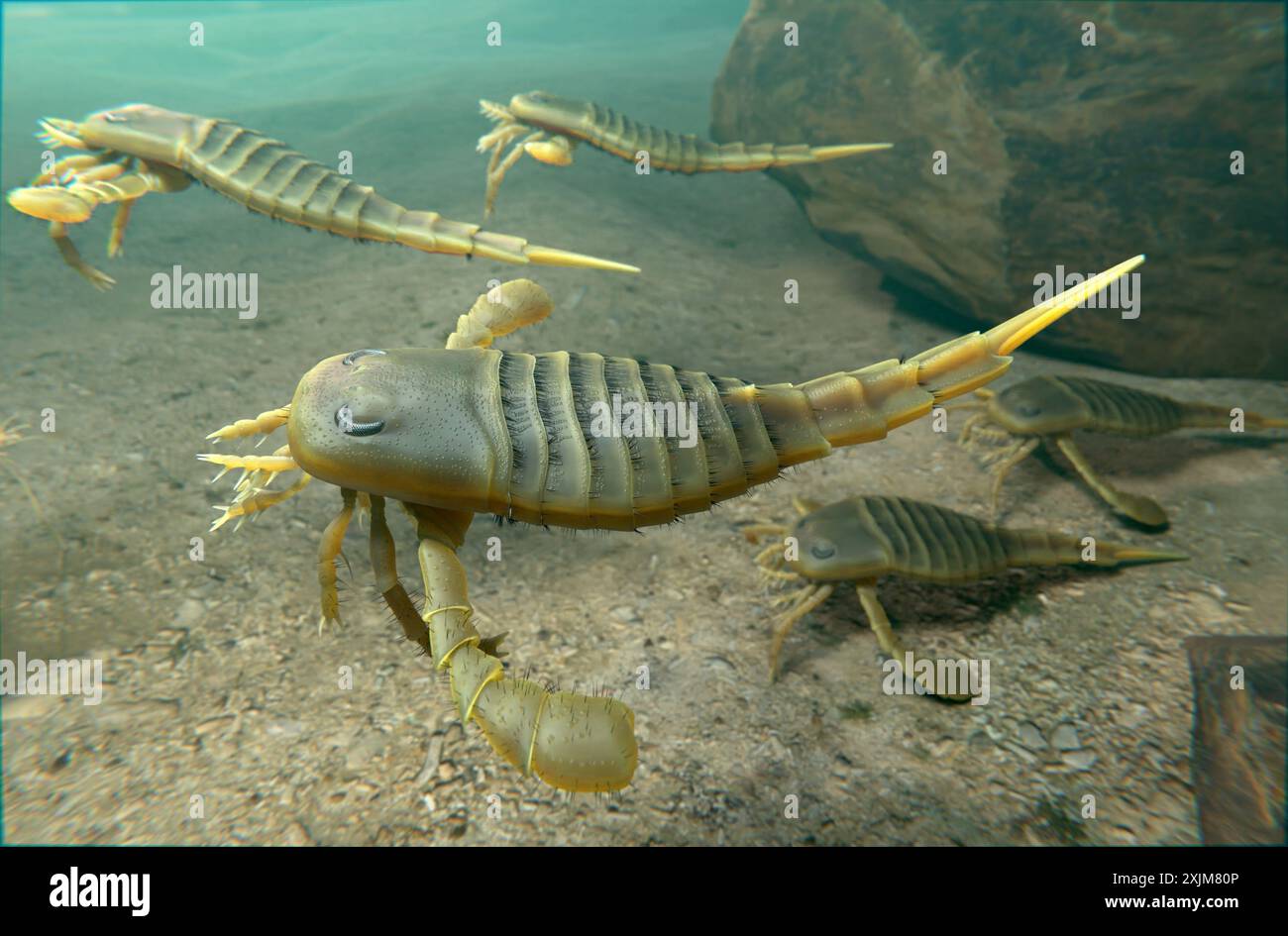 An illustration of Eurypterids (Sea Scorpions) swimming on a Silurian ...