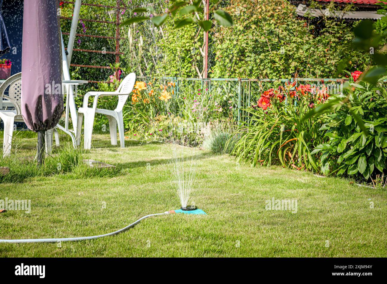 Watering base of plant hi-res stock photography and images - Alamy