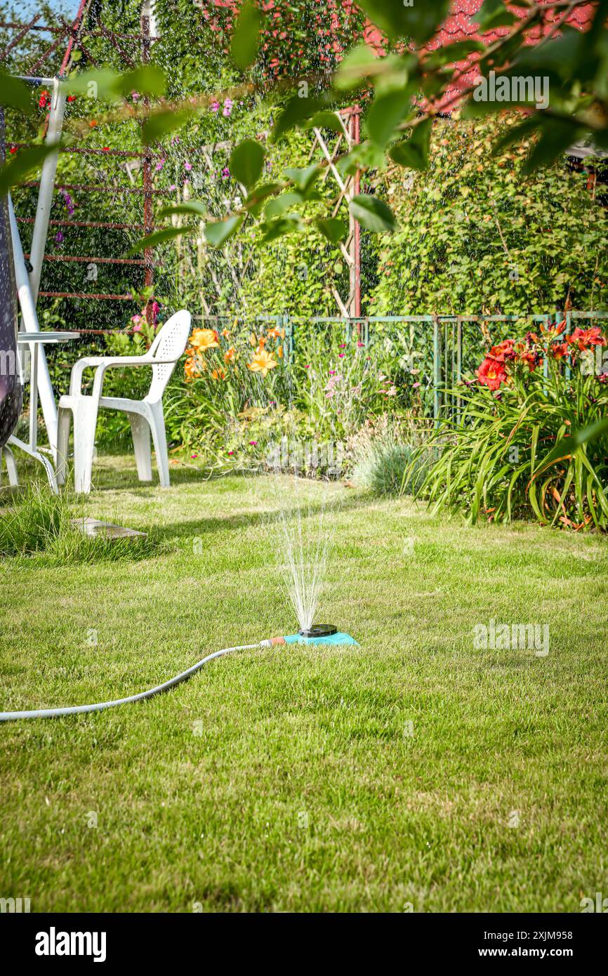 Watering base of plant hi-res stock photography and images - Alamy