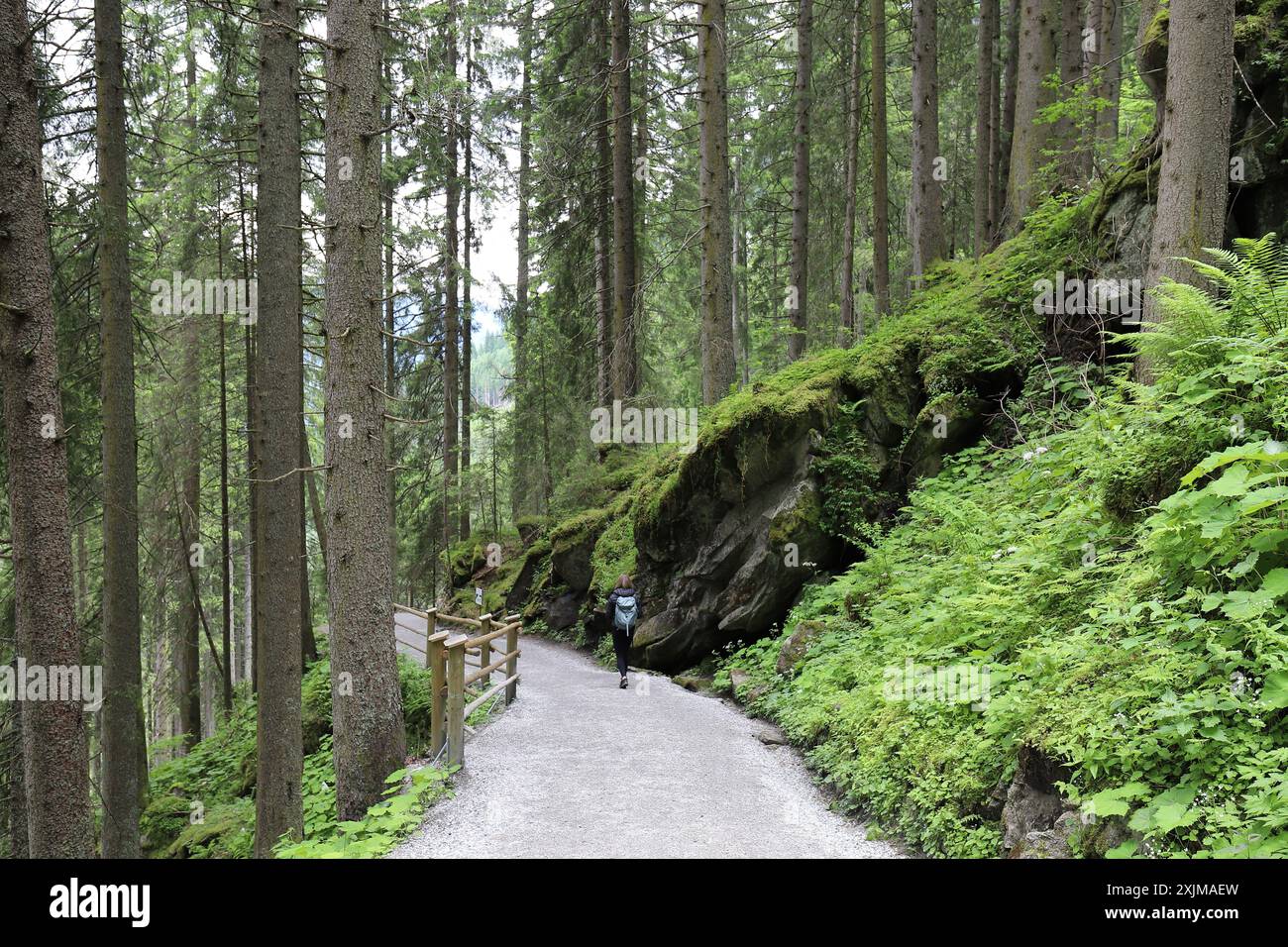 Pathway through vegetation hi-res stock photography and images - Alamy