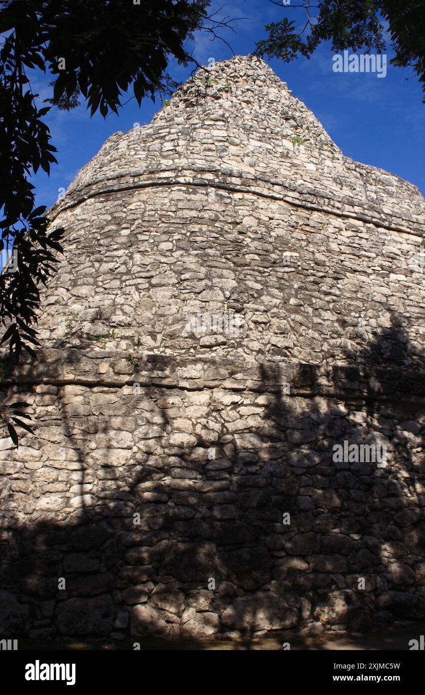 Mexico, Quintana, Roo. Coba Mayan Ruins. Nohoch Mul - the tallest ...