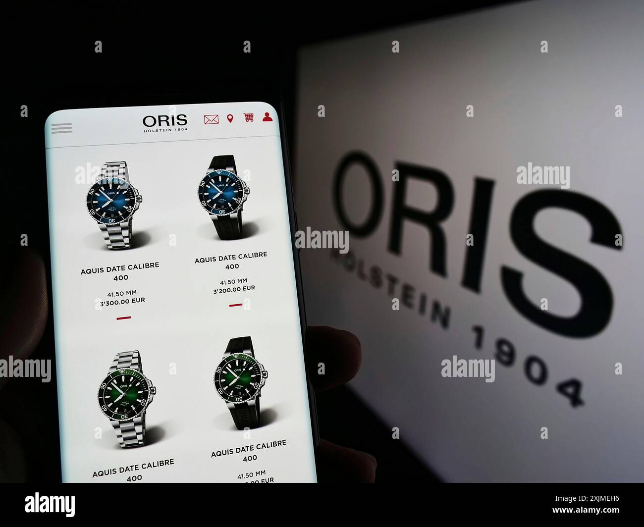 Stuttgart, Germany, 06-11-2022: Person holding cellphone with website ...