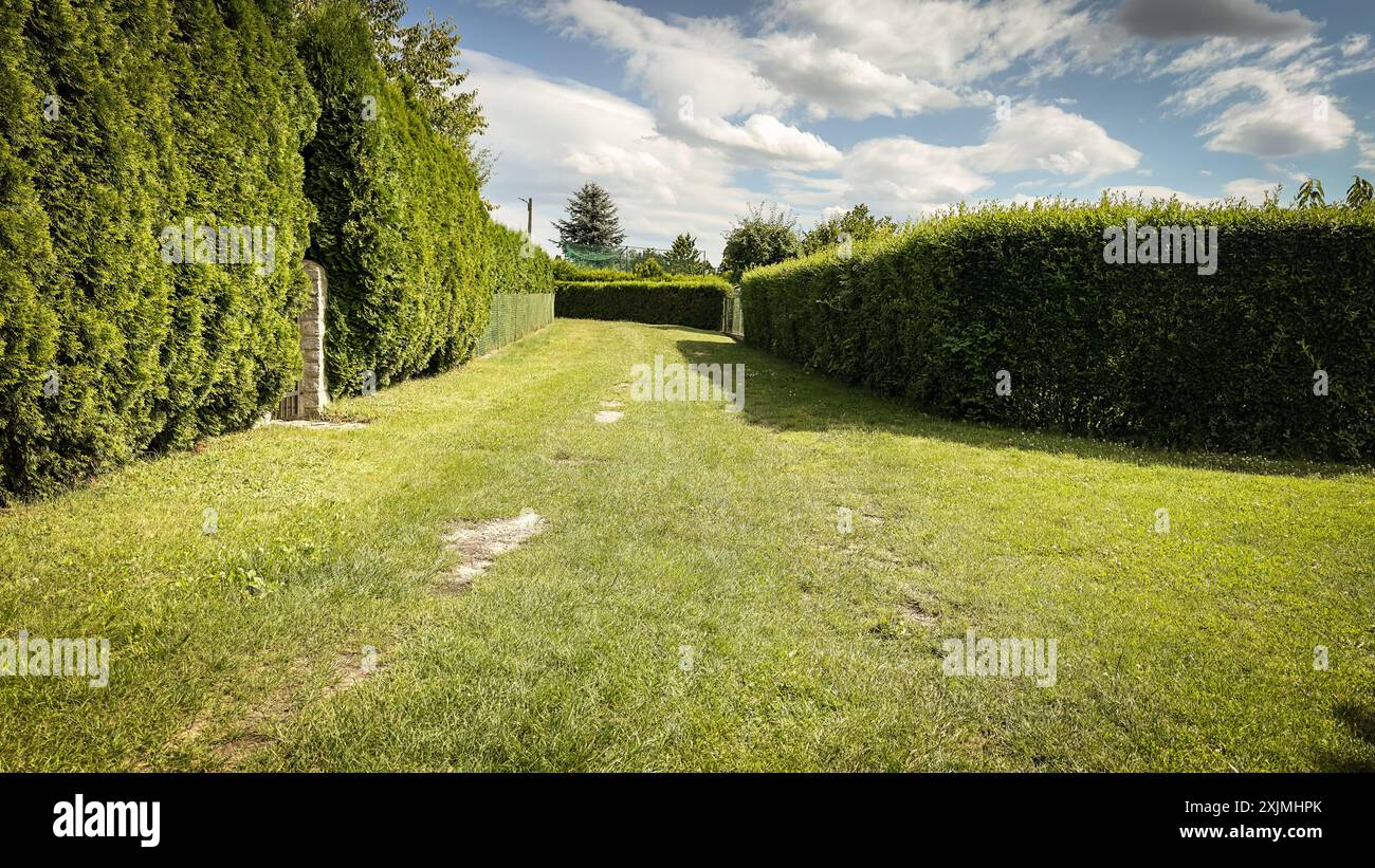Geometric pattern of green hedge flowerbed in Polish gardens Stock ...