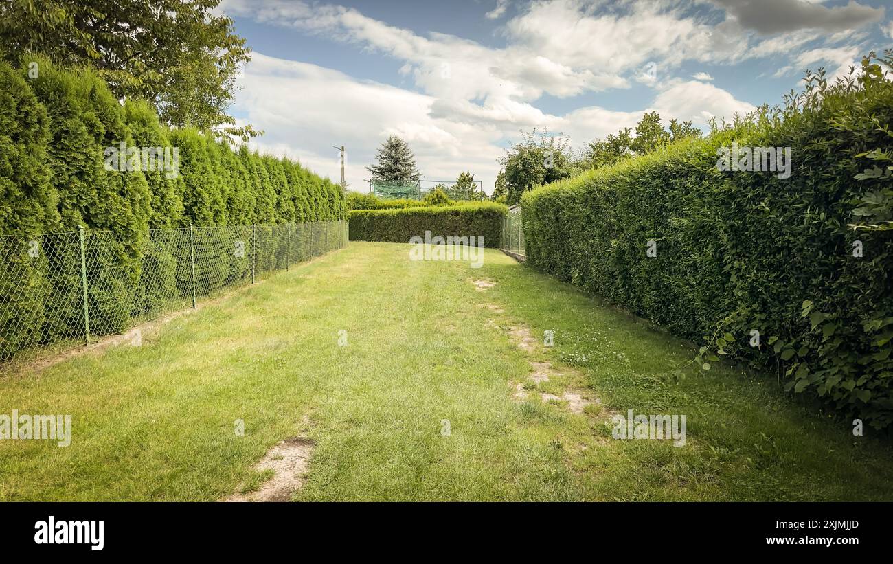 Geometric pattern of green hedge flowerbed in Polish gardens Stock ...