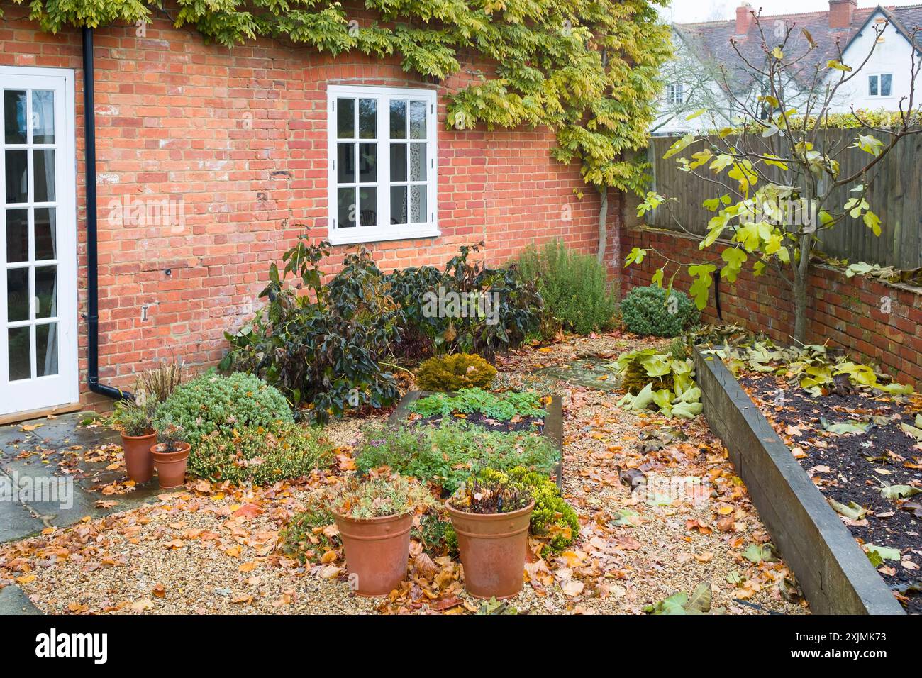Seasonal home garden autumn hi-res stock photography and images - Alamy