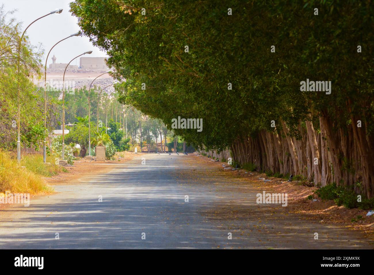 Beautiful village road in Jeddah, Saudi arabia Stock Photo - Alamy