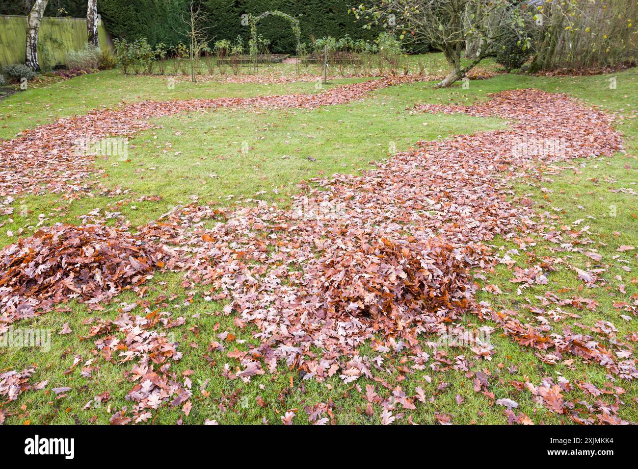 Home with large pile in autumn hi-res stock photography and images - Alamy