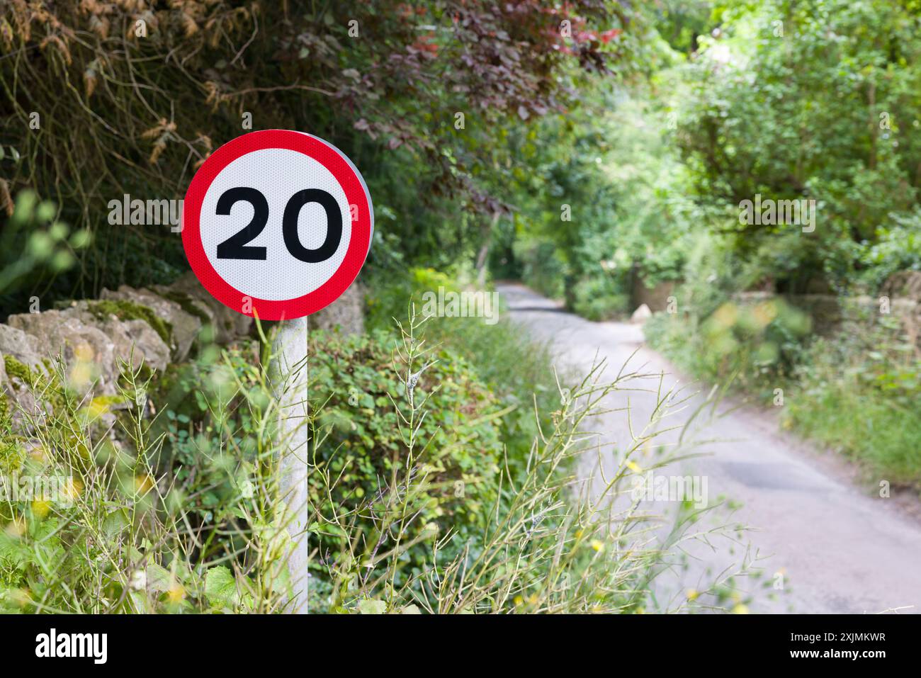20mph speed limit sign on a narrow country road. 20 mph speed ...