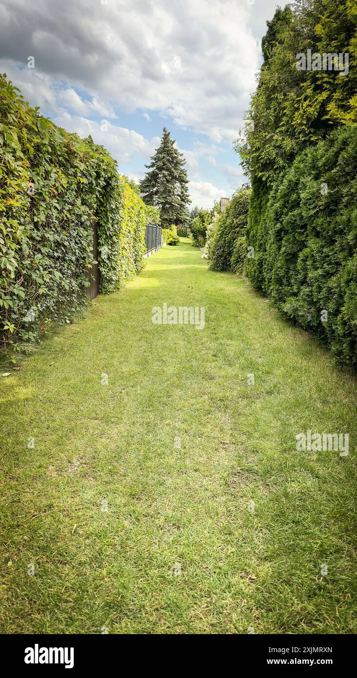Geometric pattern of green hedge flowerbed in Polish gardens Stock ...