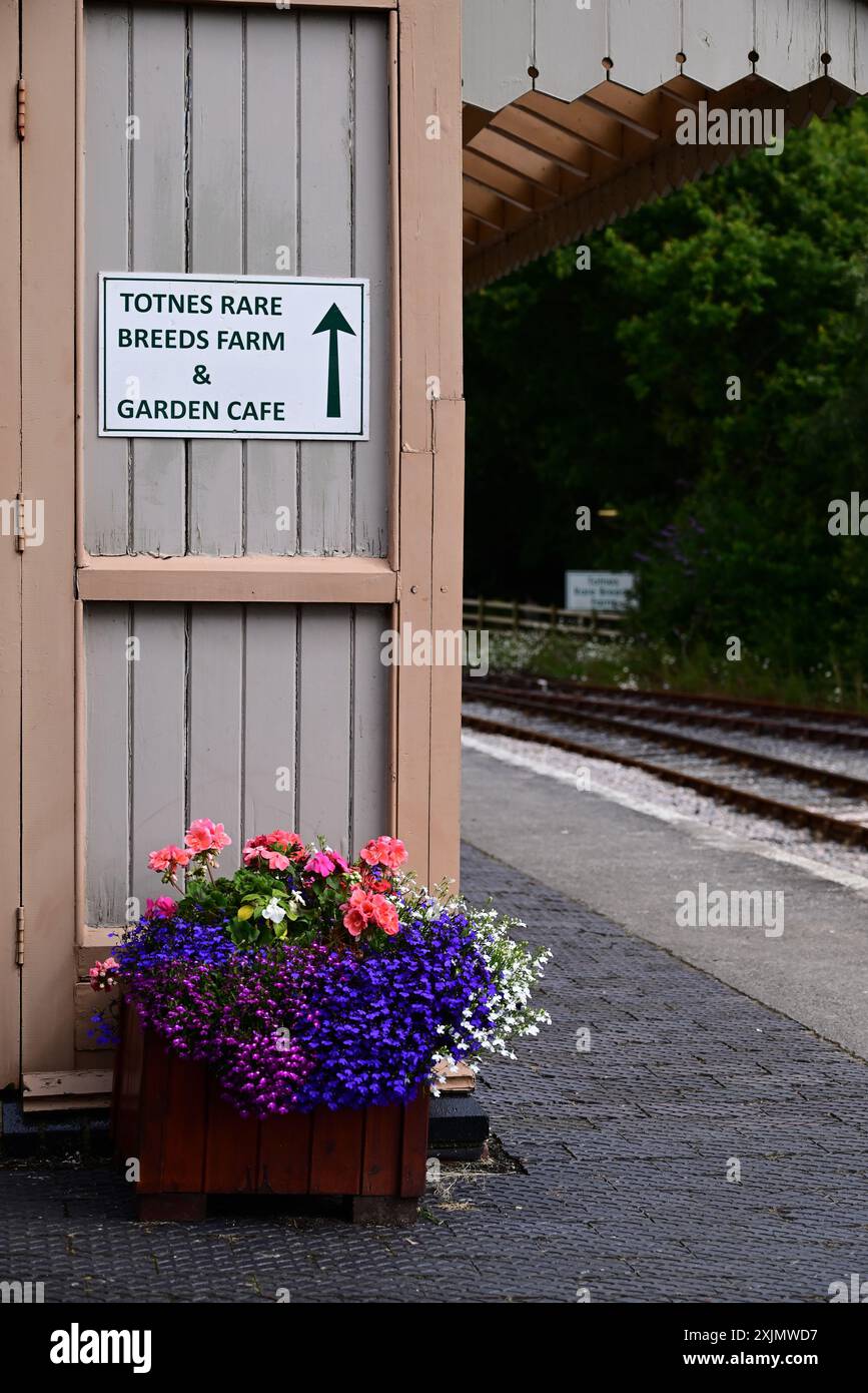 Riverside café totnes hi-res stock photography and images - Alamy