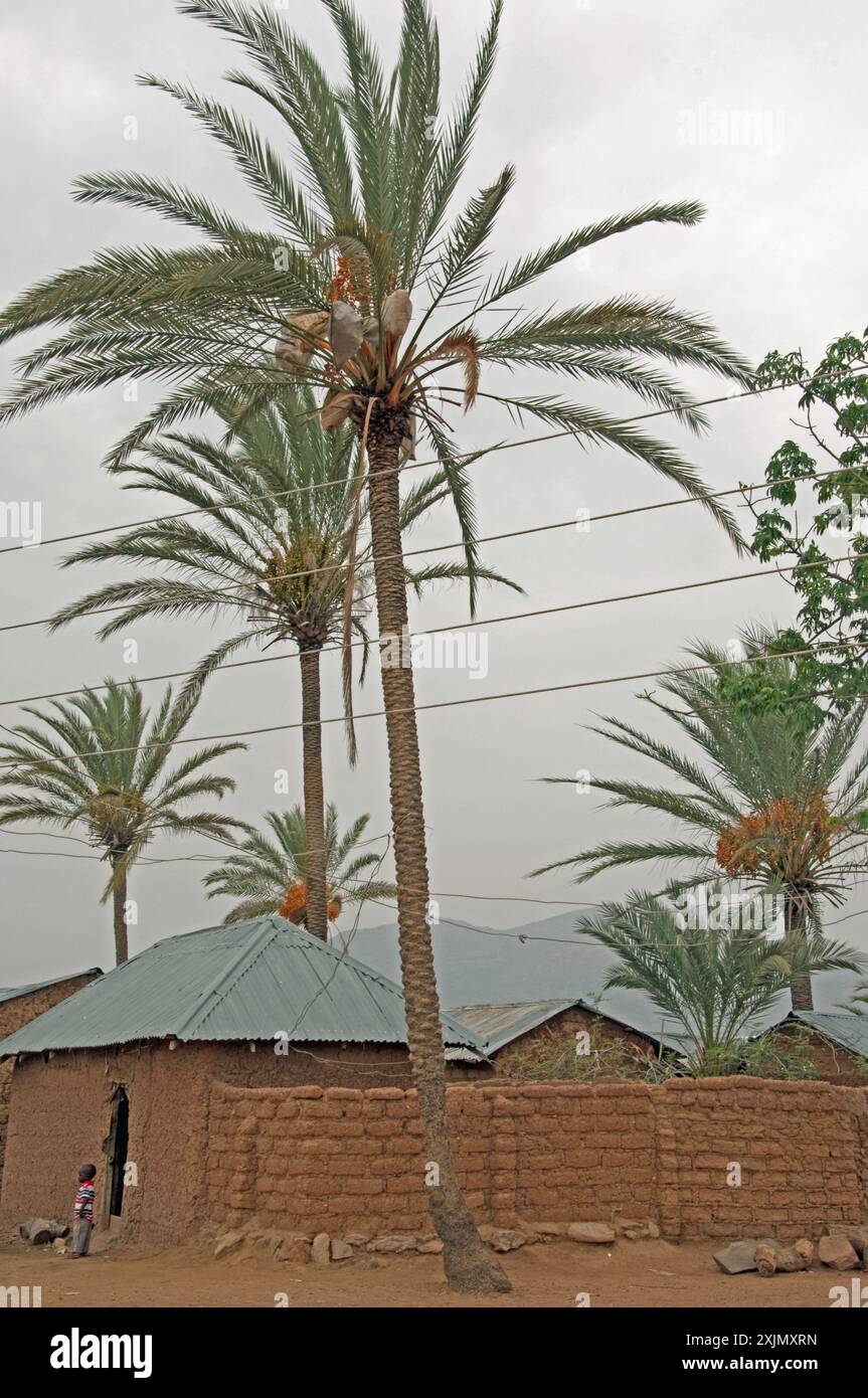 Homestead, Small village, Bauchi State, Nigeria, Africa. Bauchi is the ...