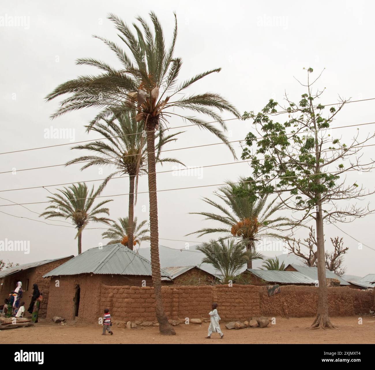 Homestead, Small village, Bauchi State, Nigeria, Africa. Bauchi is the ...