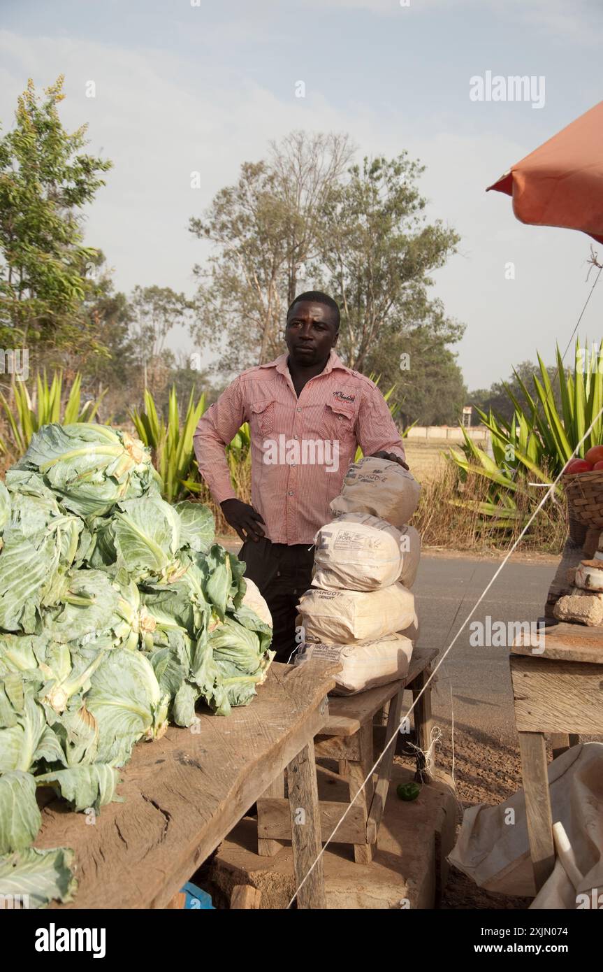 Roadside vegetable stall, Kaduna State, Nigeria, Africa. Vegetable ...