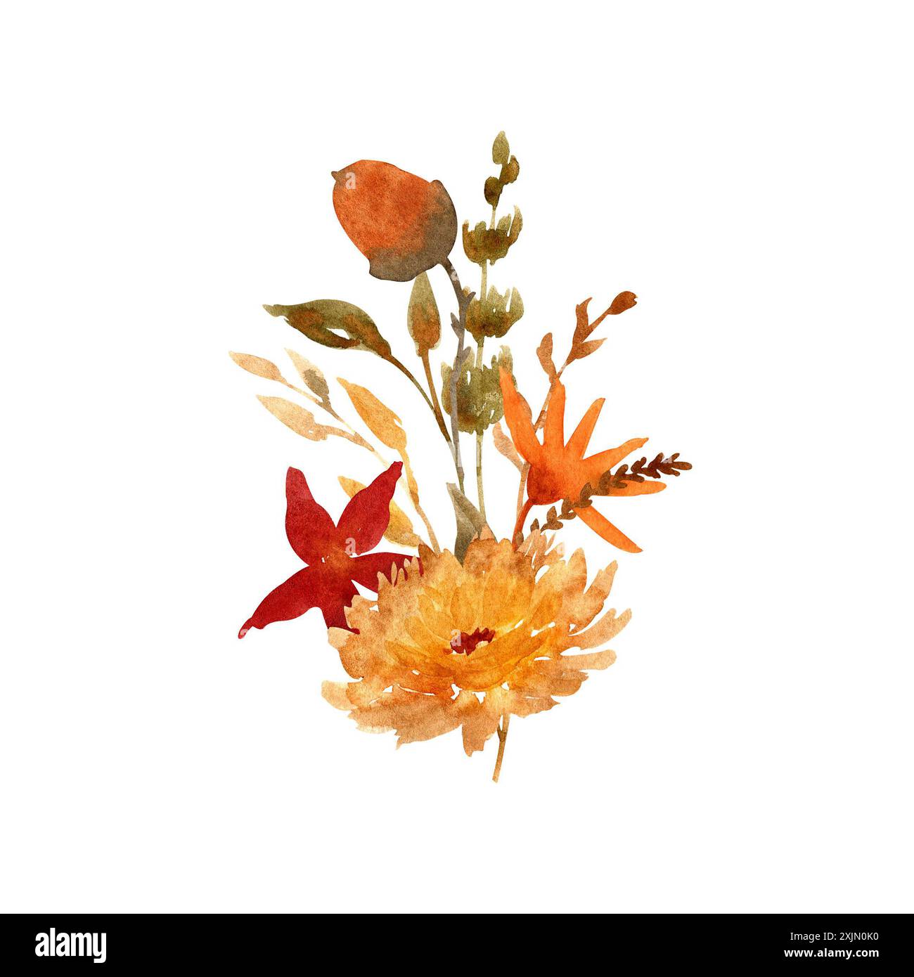 Watercolor autumn dried flowers and leaves arrangement isolated on ...