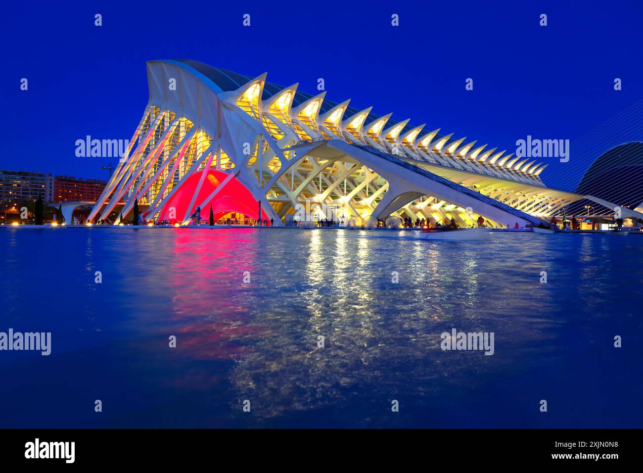 Science museum in Valencia illuminated in the night . Museu de les ...