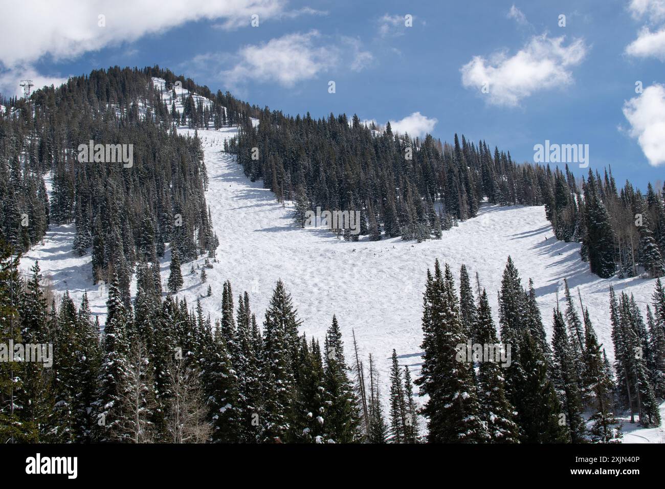 winter inspired images containing mountains, trees, snow, rocks and ...