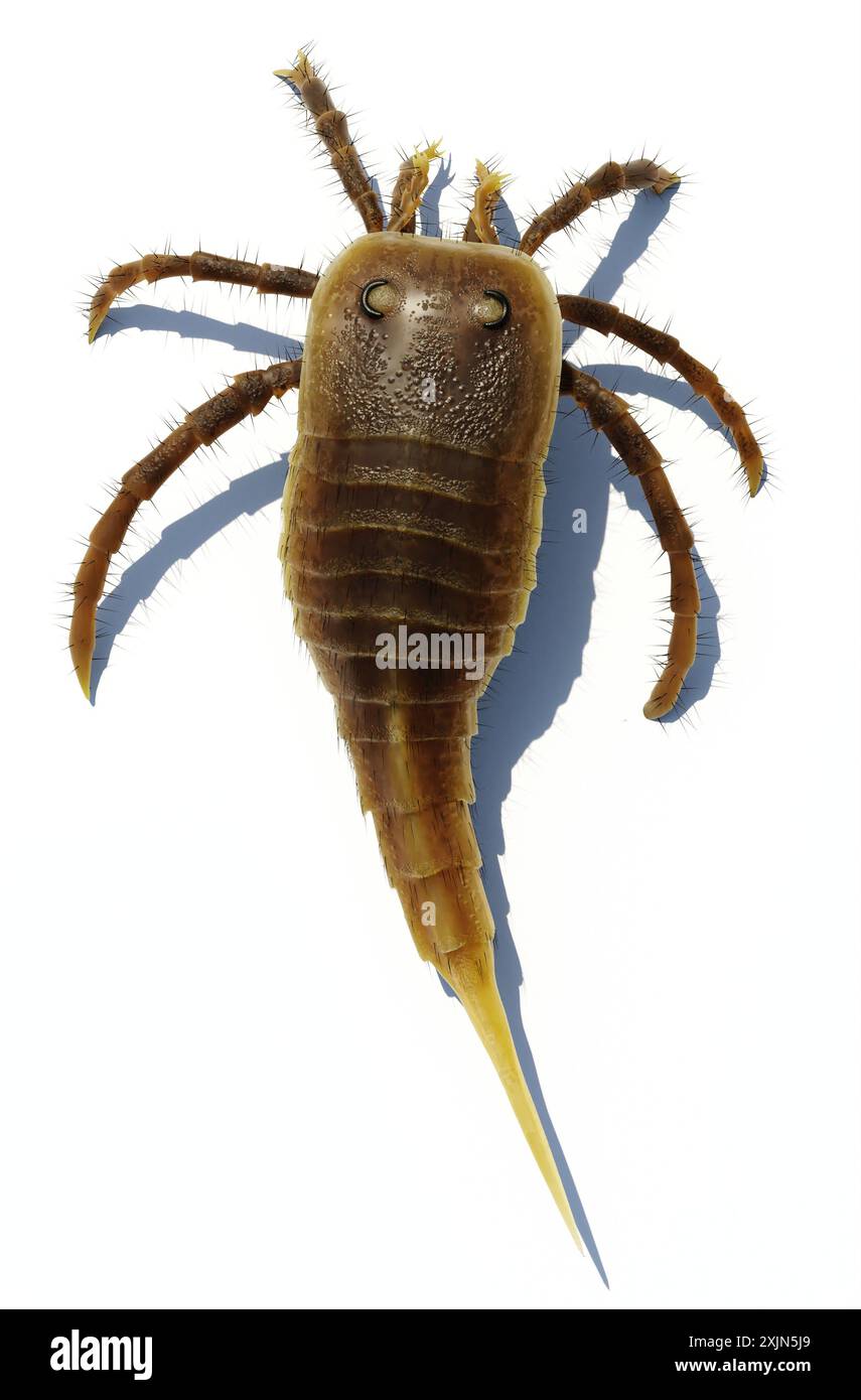 3d illustration extinct eurypterus hi-res stock photography and images - Alamy