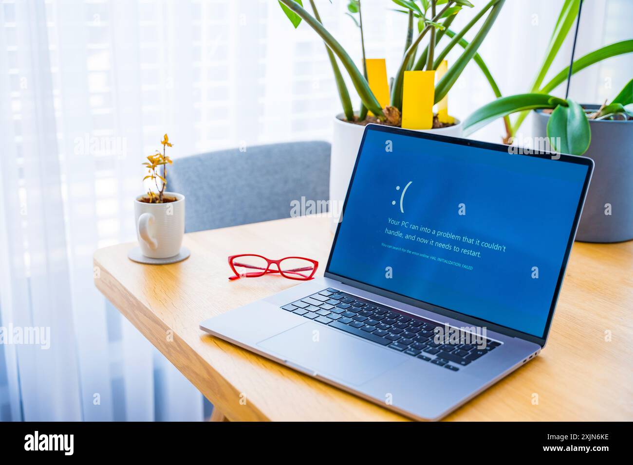 Sad laptop with blue screen error near the window with plants and red ...