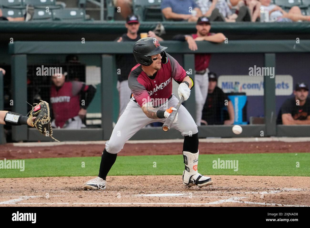 July 13 2024: Sacramento shortstop Christian Koss (31) bunts for a hit ...