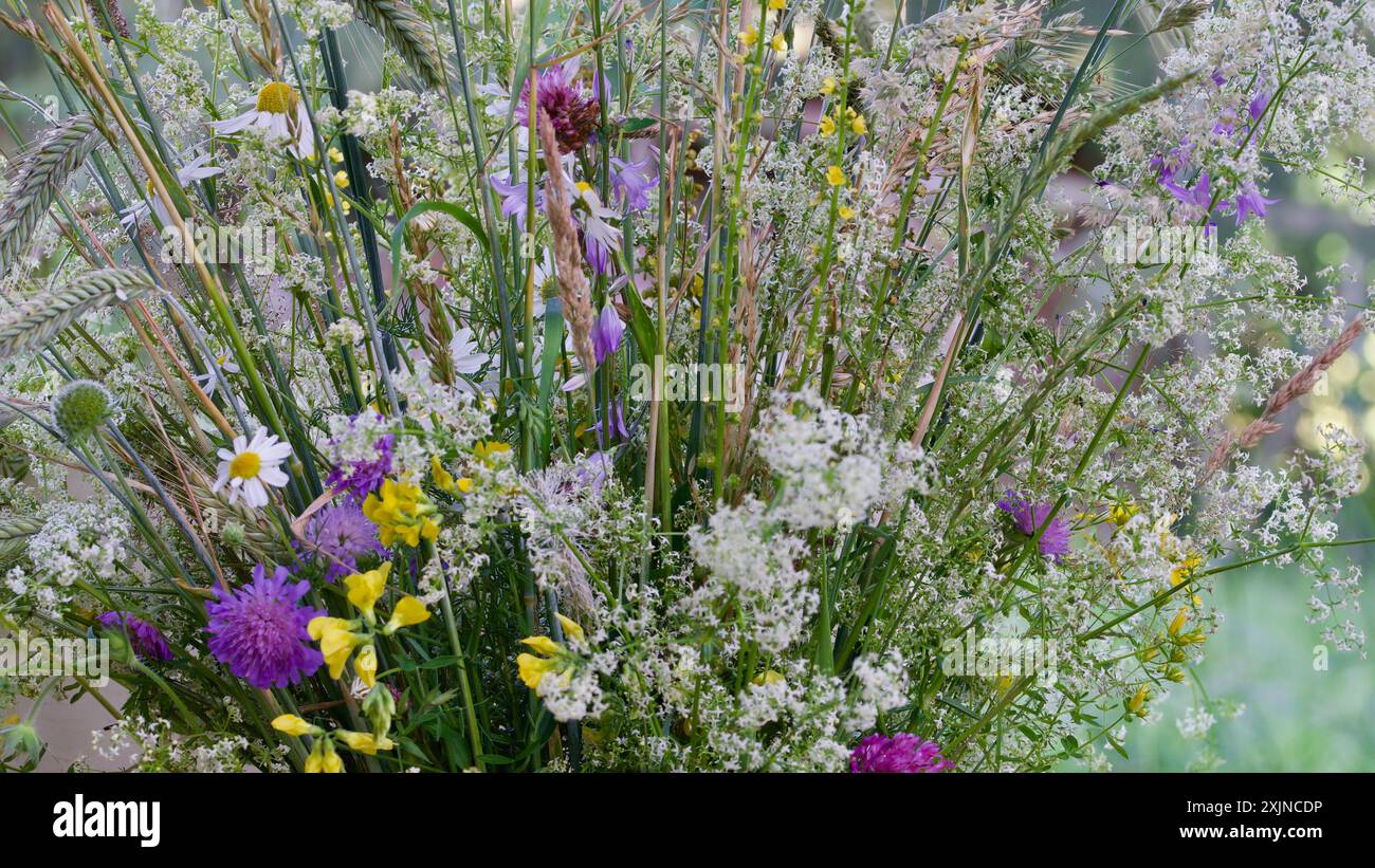 Beautiful bouquet wild flowers hi-res stock photography and images - Alamy