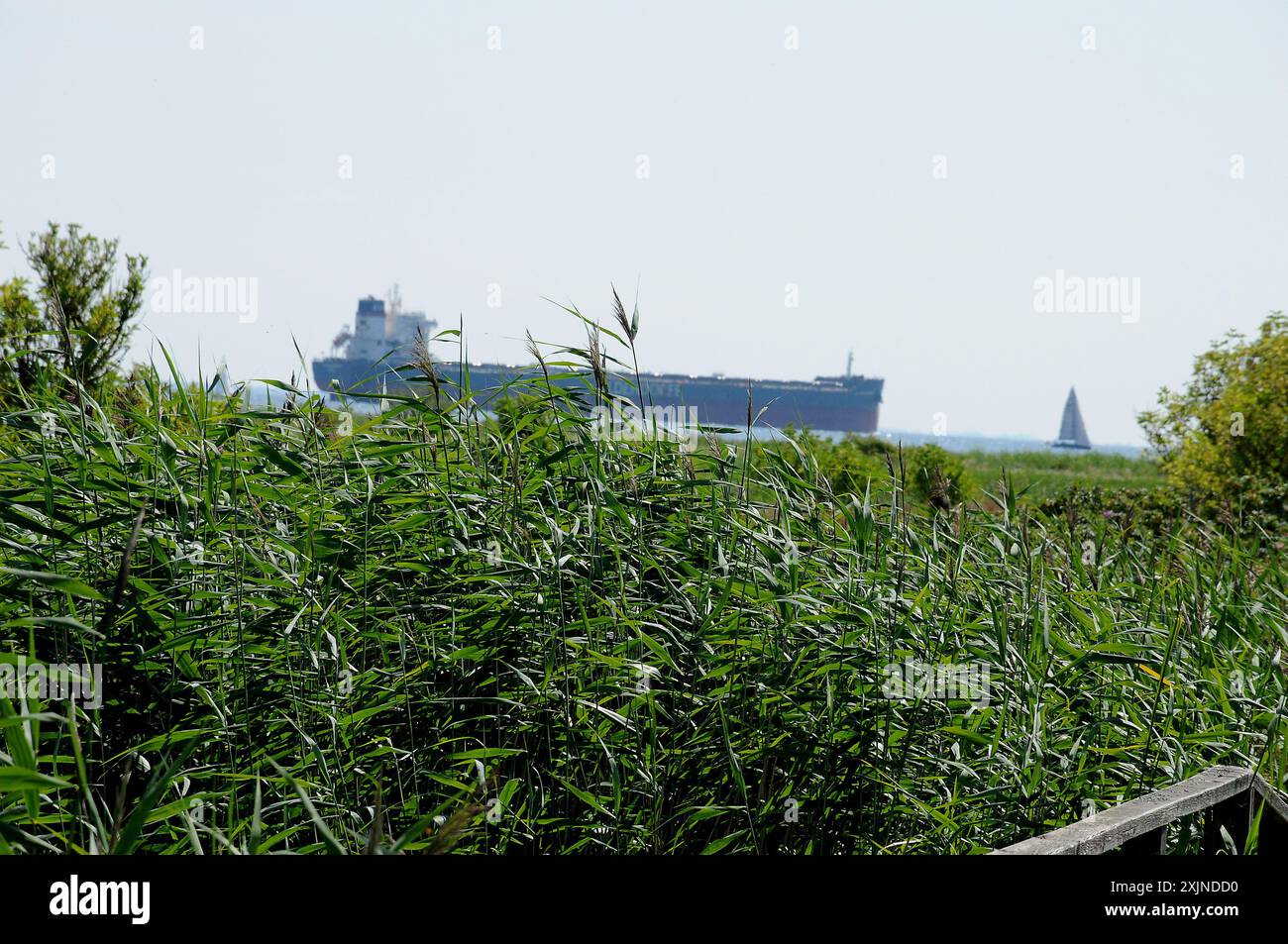 Dragor/openhagen/ Denmark/19 july 2024/Gargo ship sailing pasing by ...