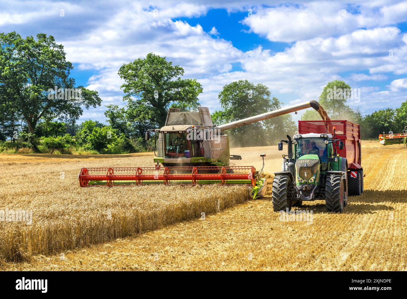 Combine harvester and tractor with loader wagon harvesting grain Stock ...