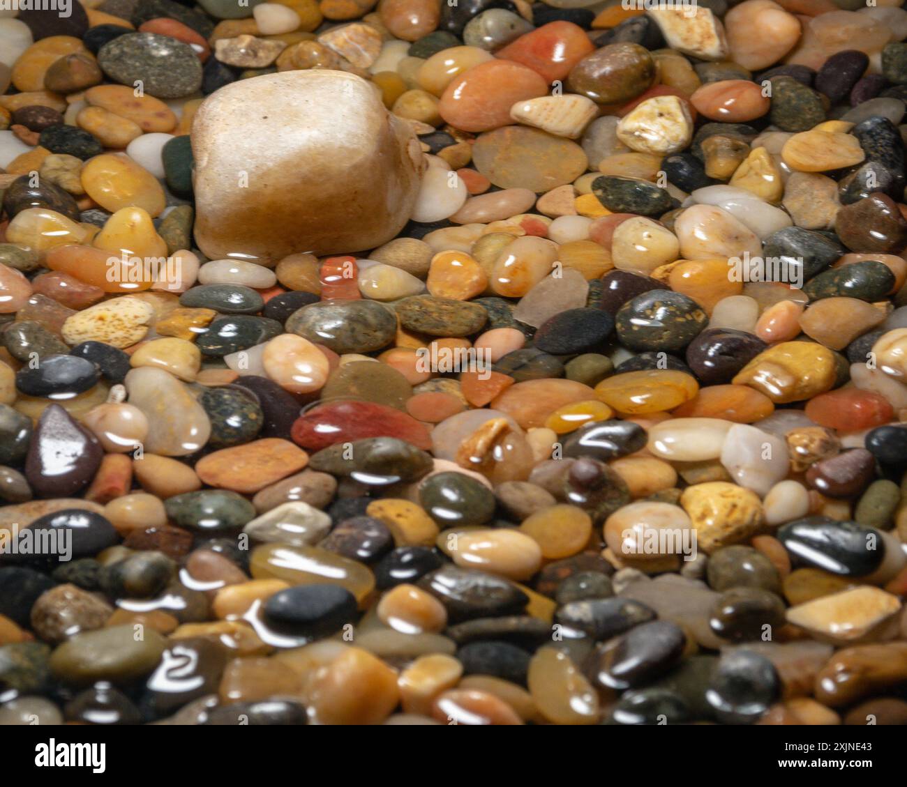Macro photo of smooth multi-colored rocks in a small amount of water ...
