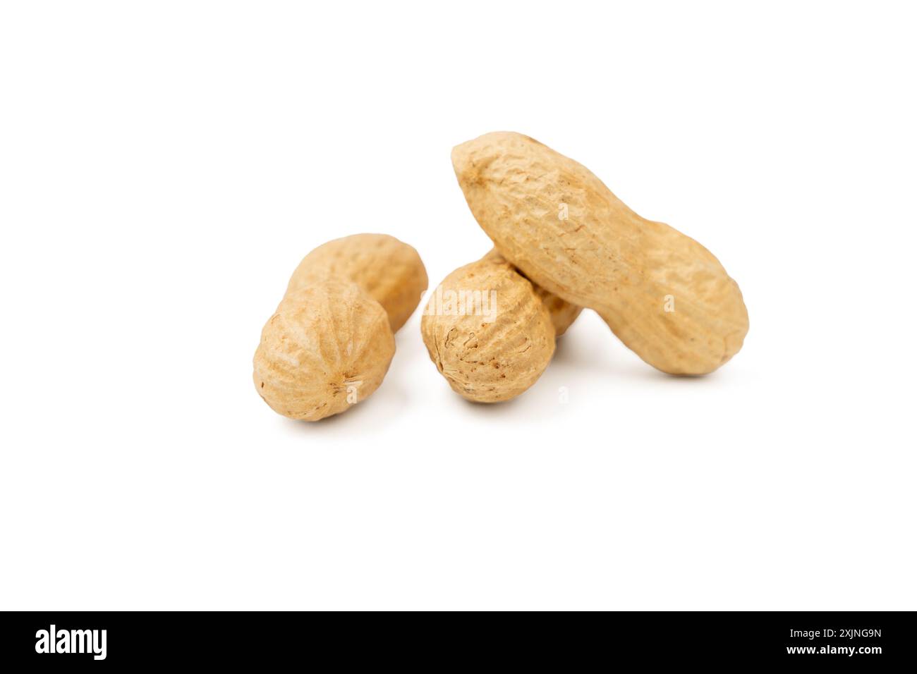 Three peanuts are sitting on a white background. The peanuts are all ...