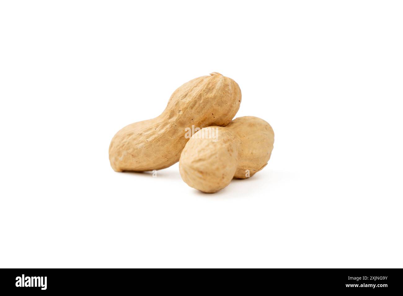 Two peanuts are sitting on a white background. The peanuts are ...