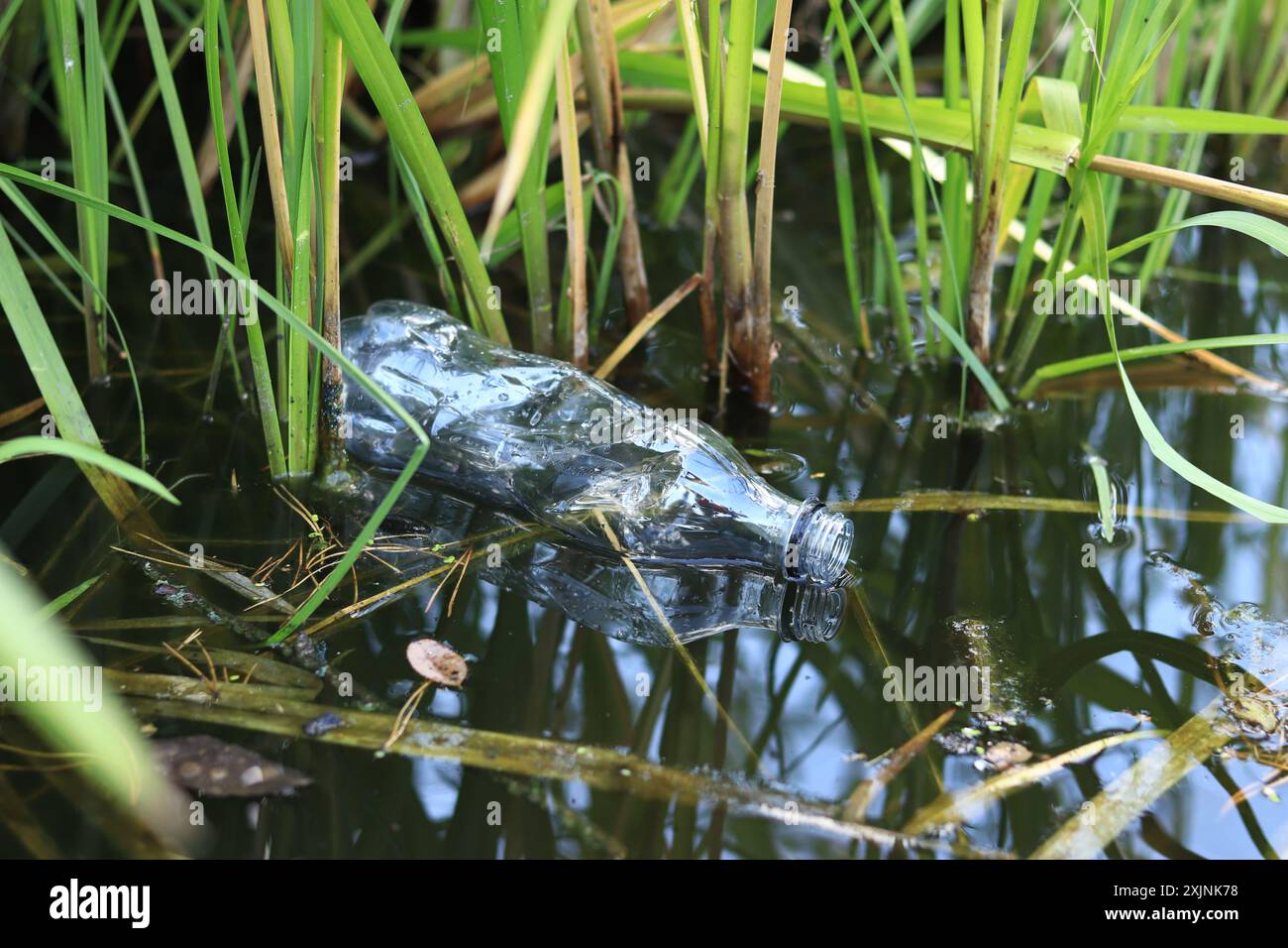 Plastic bottle in water, lake or river. Plastic pollution. Pollution of ...