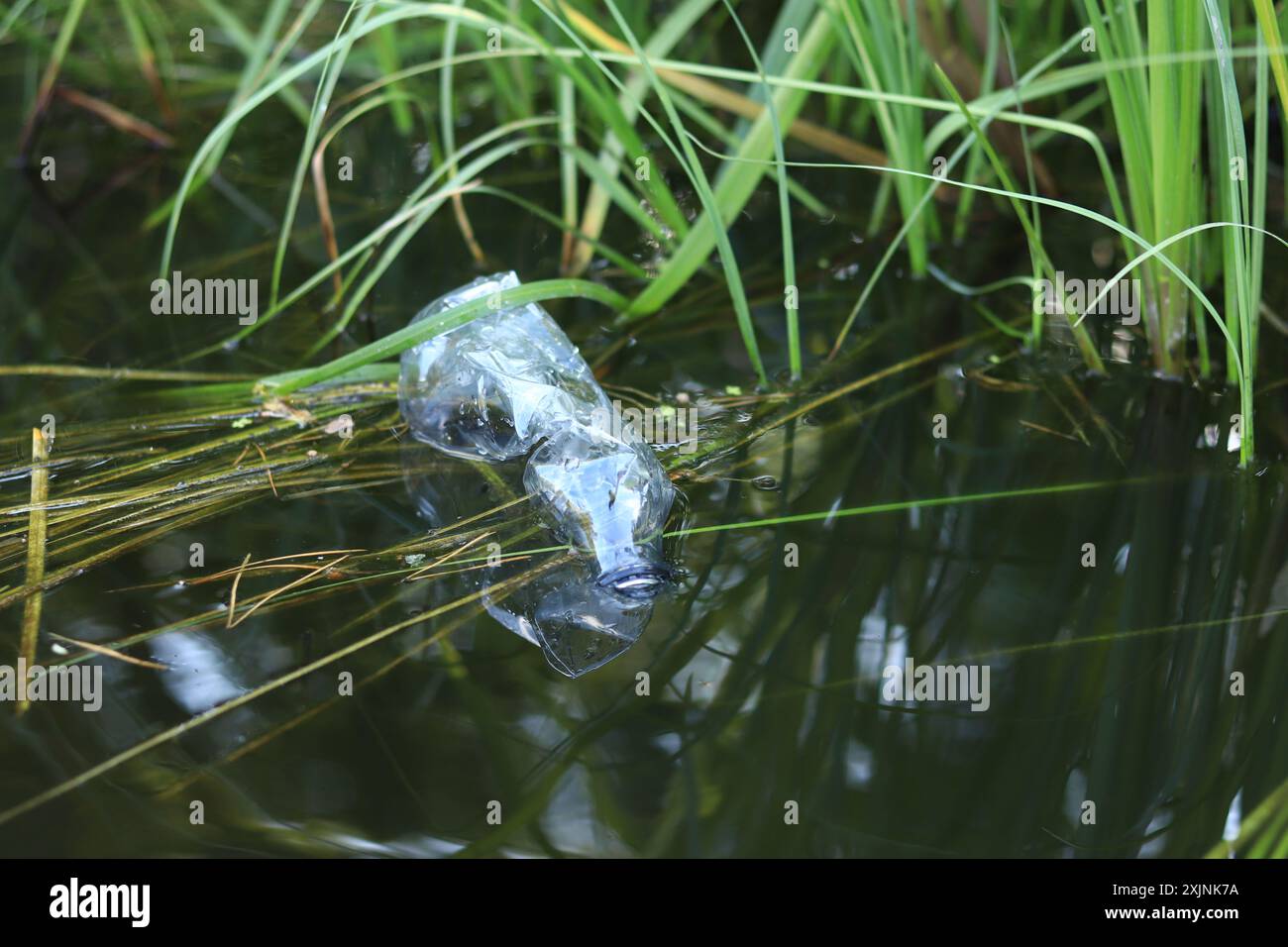 Plastic bottle in water, lake or river. Plastic pollution. Pollution of ...