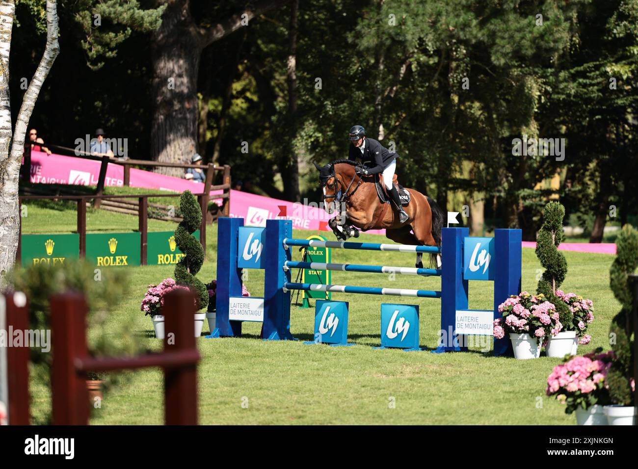 H merlgerd hi-res stock photography and images - Alamy