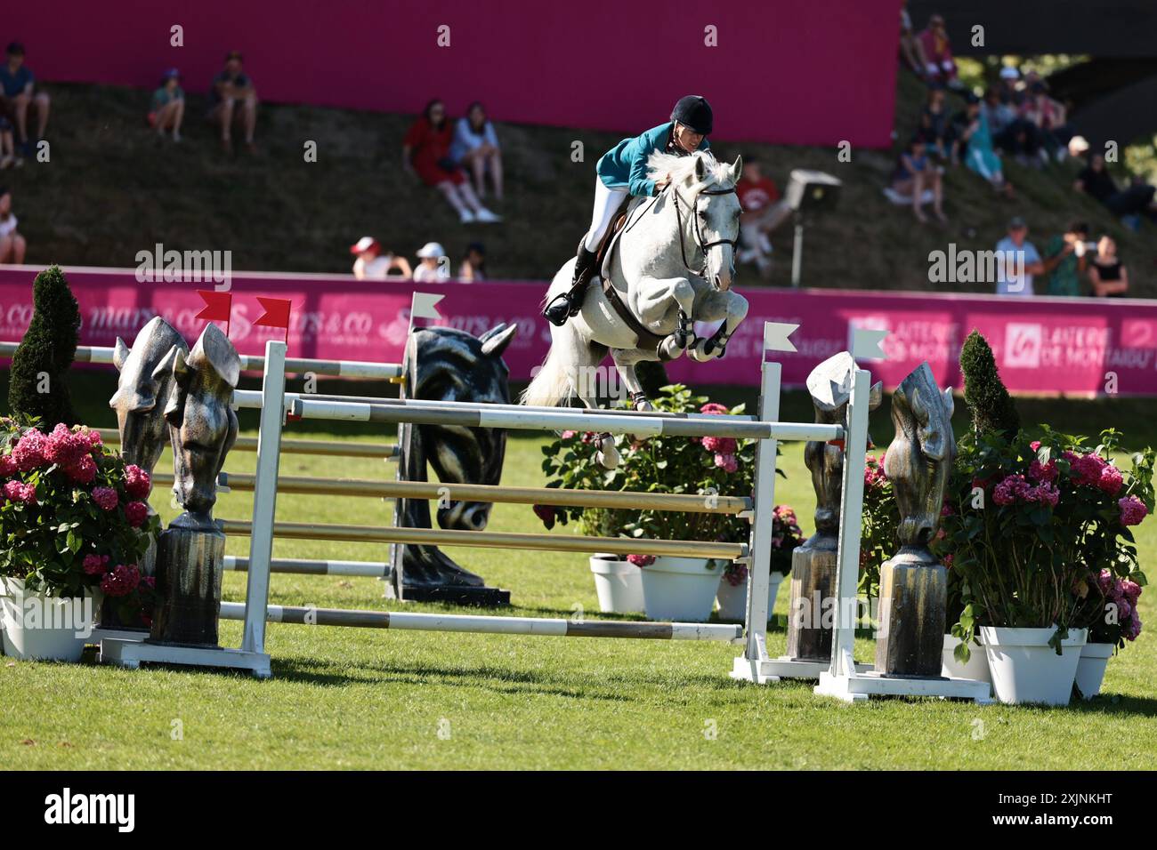 Luciana Diniz of Brazil with Vertigo Du Desert during the CSI5* Prix ...