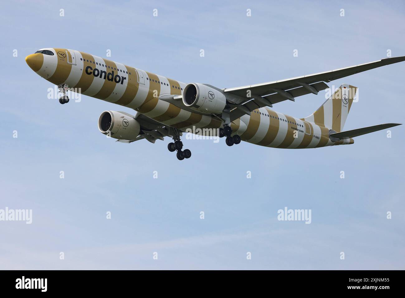 Ein Flugzeug der Fluggesellschaft Condor, Airbus A330-941, Kennung D-ANRH im Landeanflug auf den ...