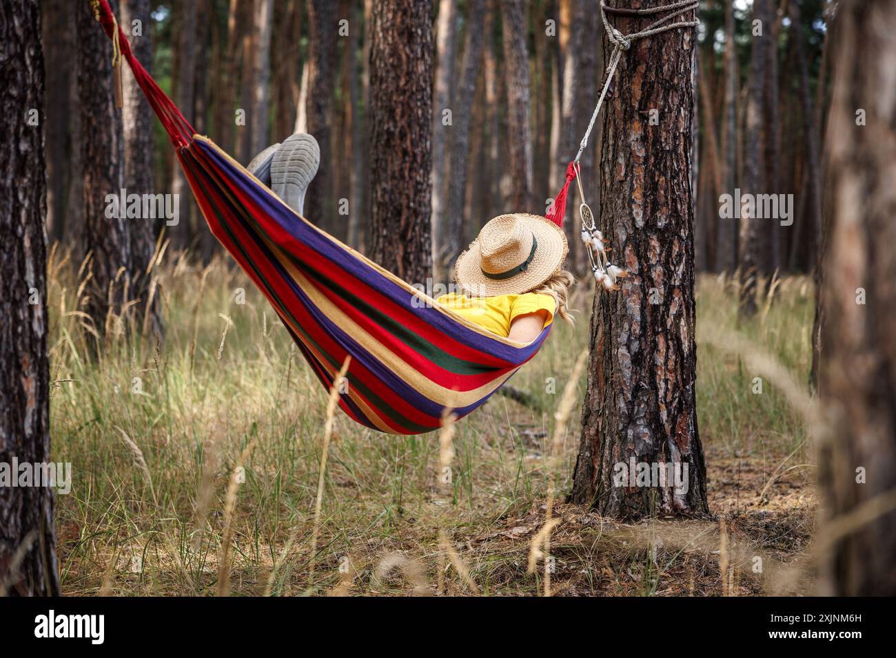 Sleeping woman with covered face by hat resting in hammock in forest ...