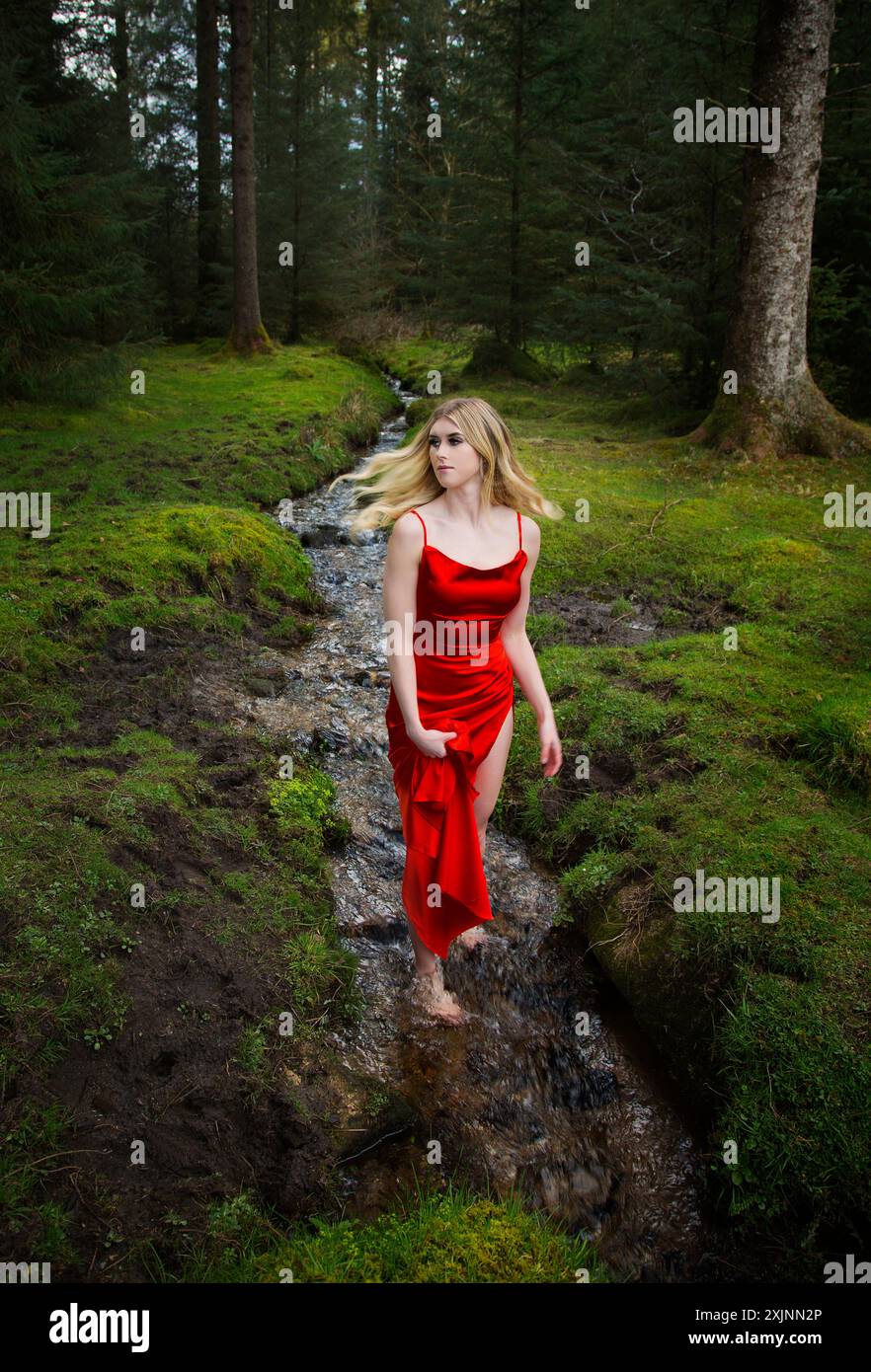 A beautiful blonde in a long red dress holding it up while waking up a ...