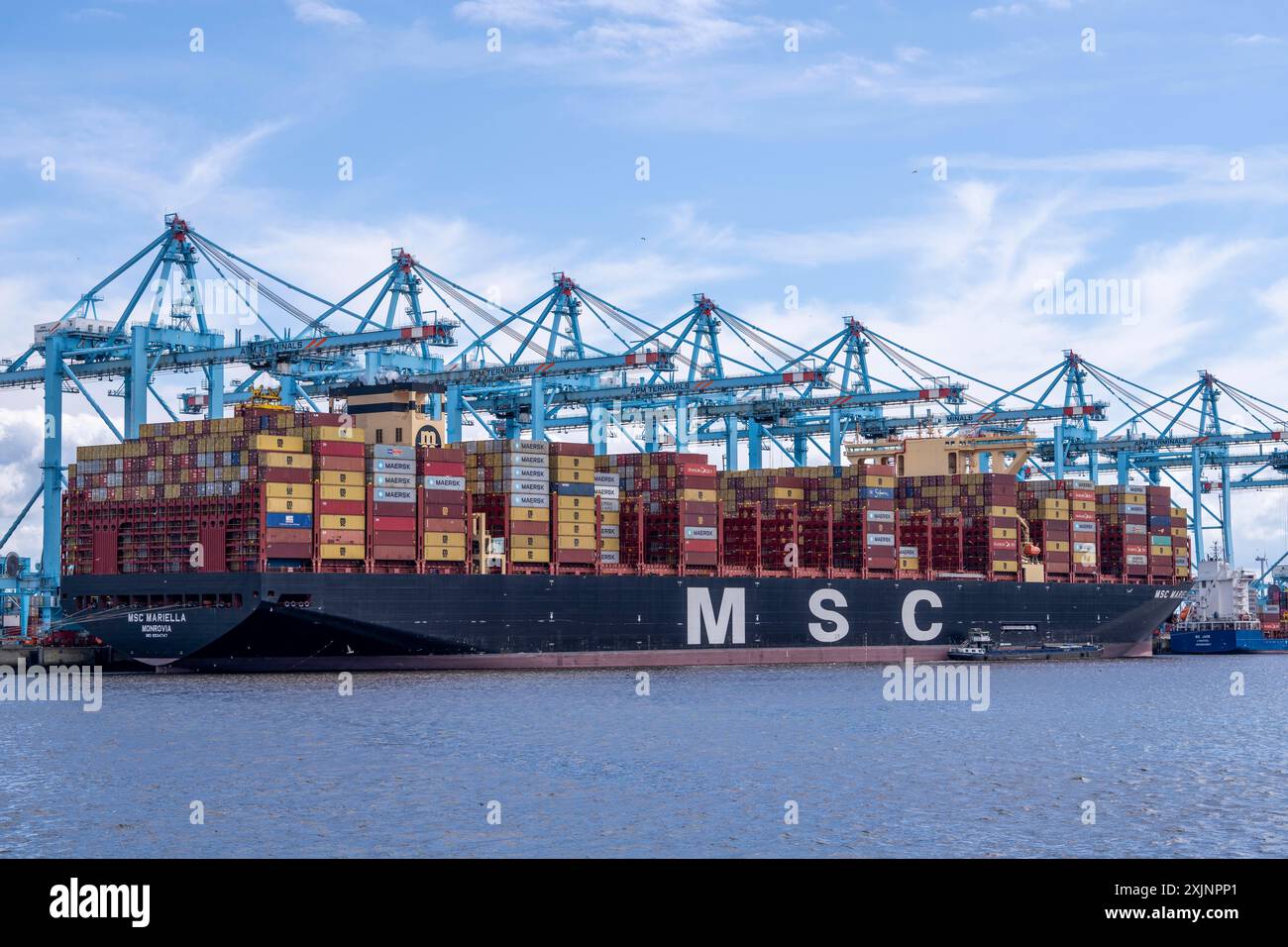 APM Container Terminal, MSC container freighter Mariella being loaded ...