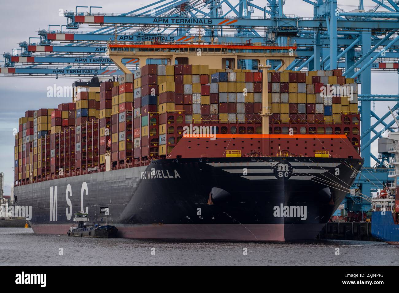 APM Container Terminal, MSC container freighter Mariella being loaded and unloaded, seaport of ...