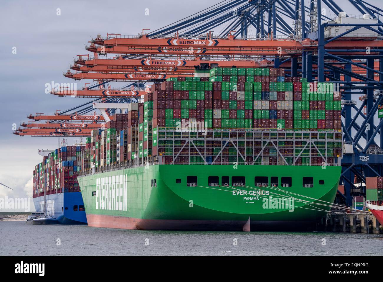 Euromax Container Terminal, container freighter Cosco Shipping Universe ...