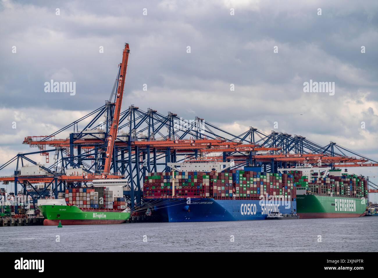 Euromax Container Terminal, BG Green Container Feedership, container ...