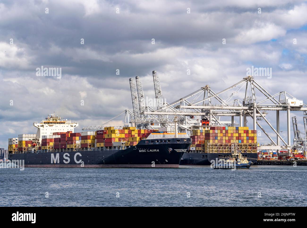 ECT Delta Container Terminal, in the Europahaven, MSC Laura container ...