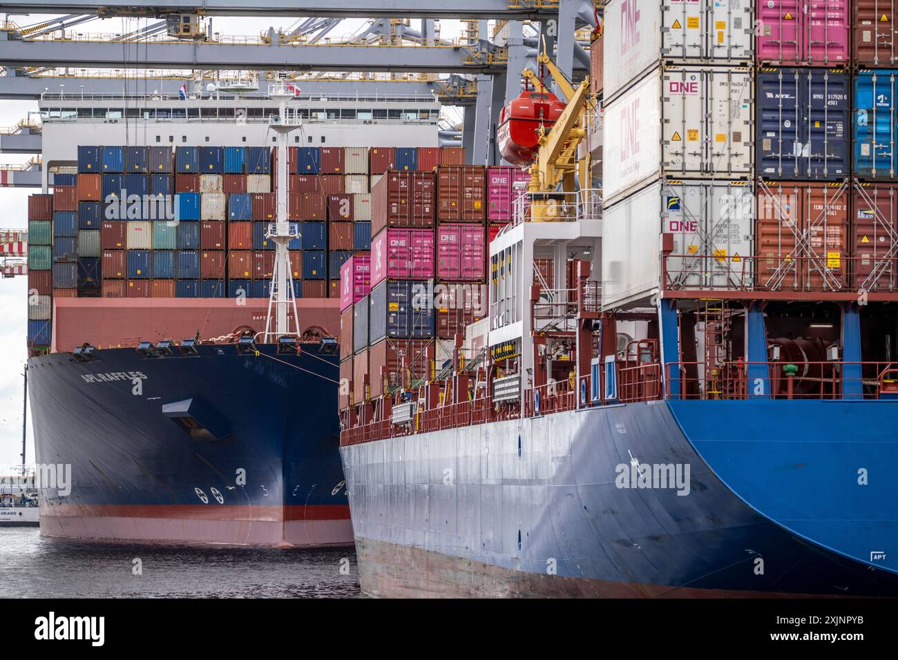 RWG Container Terminal, seaport of Rotterdam, container freighters are ...